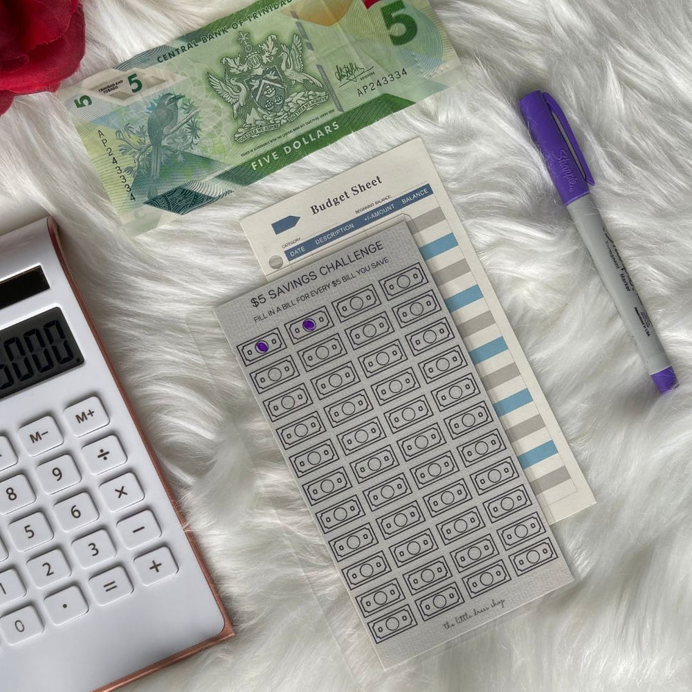 How to Use Our Products I Budgeting Basics